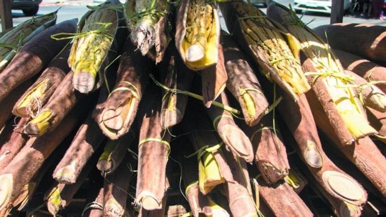 El pesebre paraguayo: una tradición navideña única - El Paraguayo ...