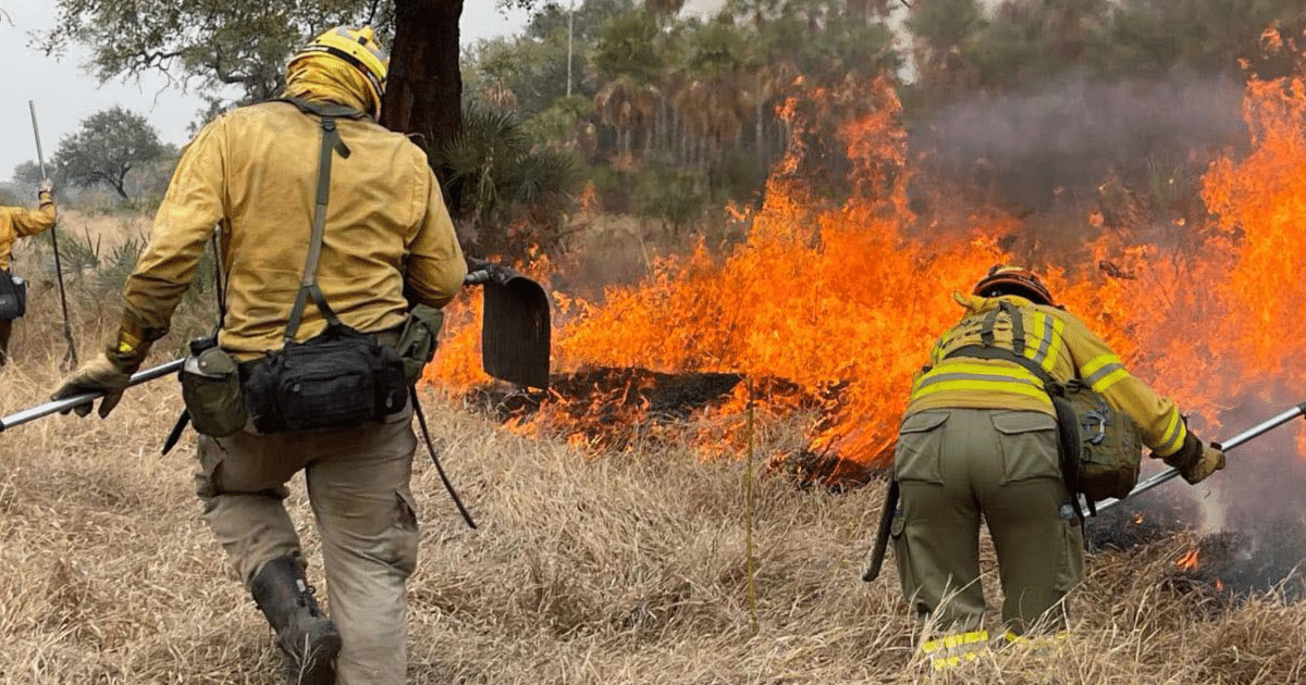 Paraguay en llamas: ¡Alerta roja por incendios! - El Paraguayo ...